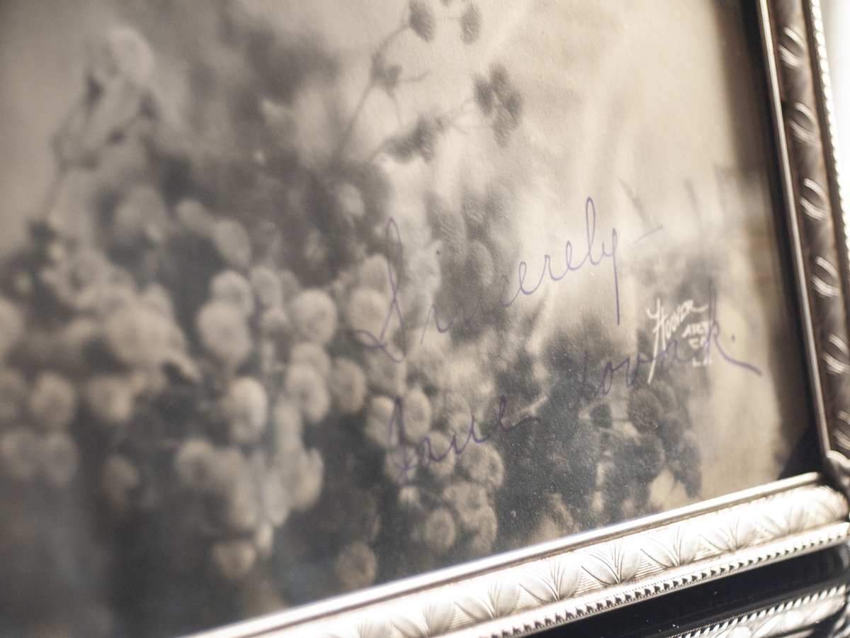 jane-novak-autographJane Novak Autographed Photo 02ed-photo-04 – ] 映画の郷